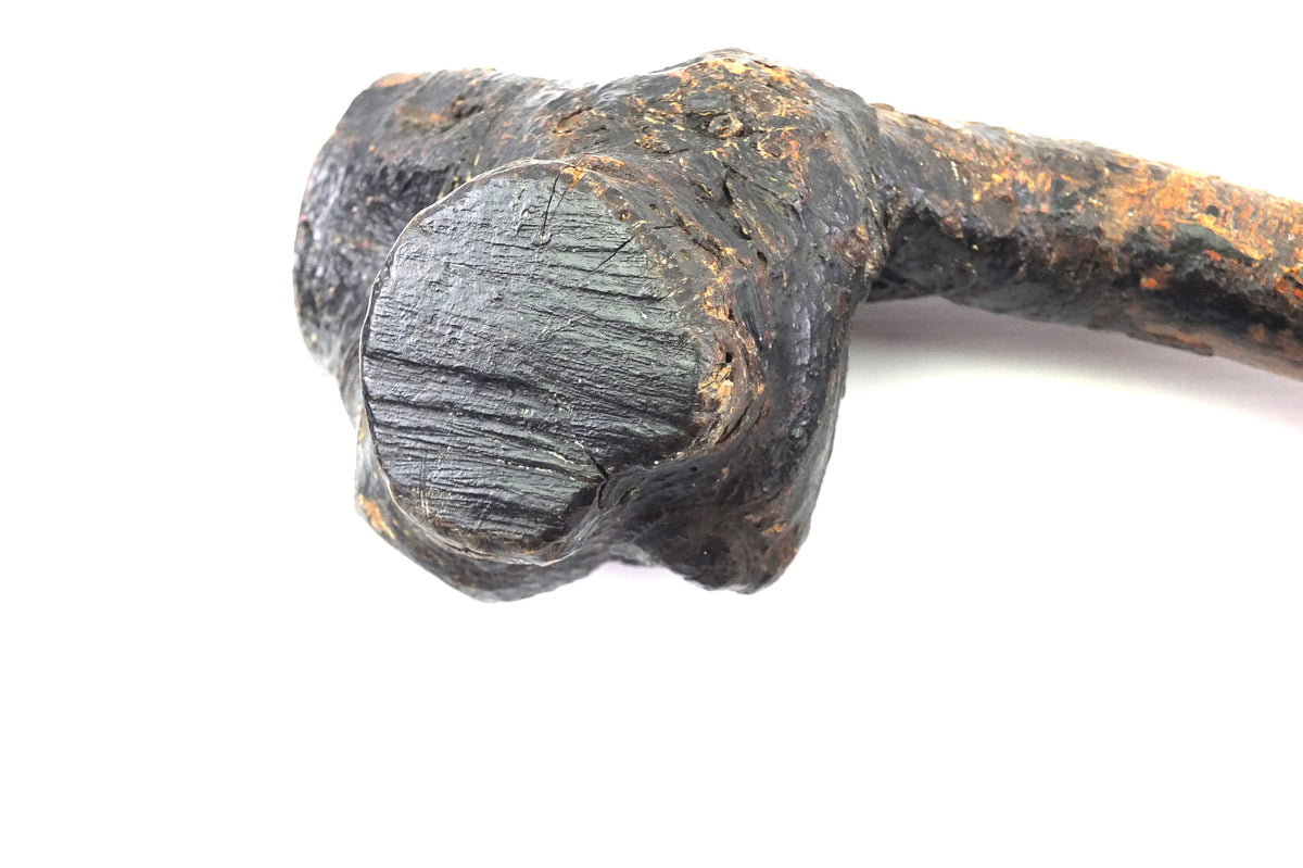 Early Blackened Bog Oak or Blackthorn, Shillelagh Bailiffs Club. Ref X – West Street Antiques